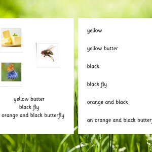 Montessori Reading Cards: Kindergarten to First Grade Sets 1 & 2 in ...