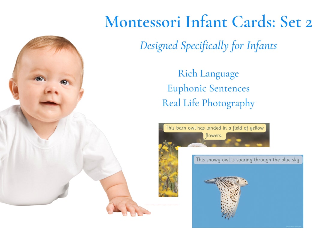 Montessori Infant Read-aloud Cards: SET 2 - Etsy