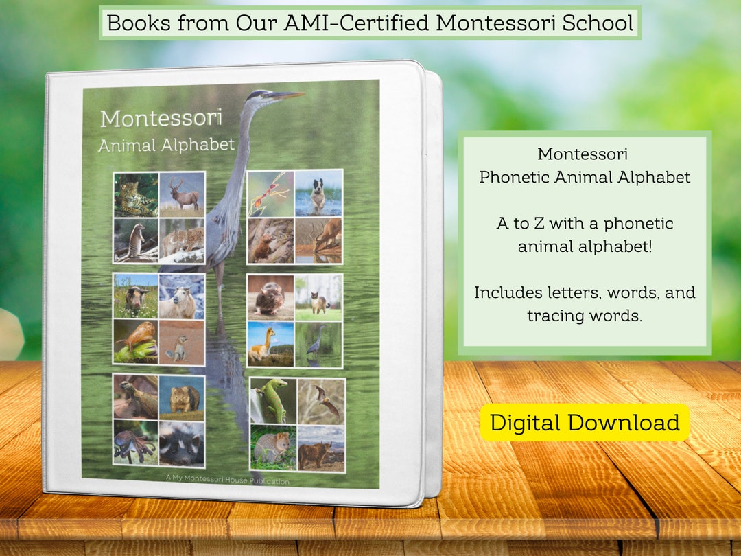 Montessori Book: ABC Learn to Read With Phonics Animals - Etsy