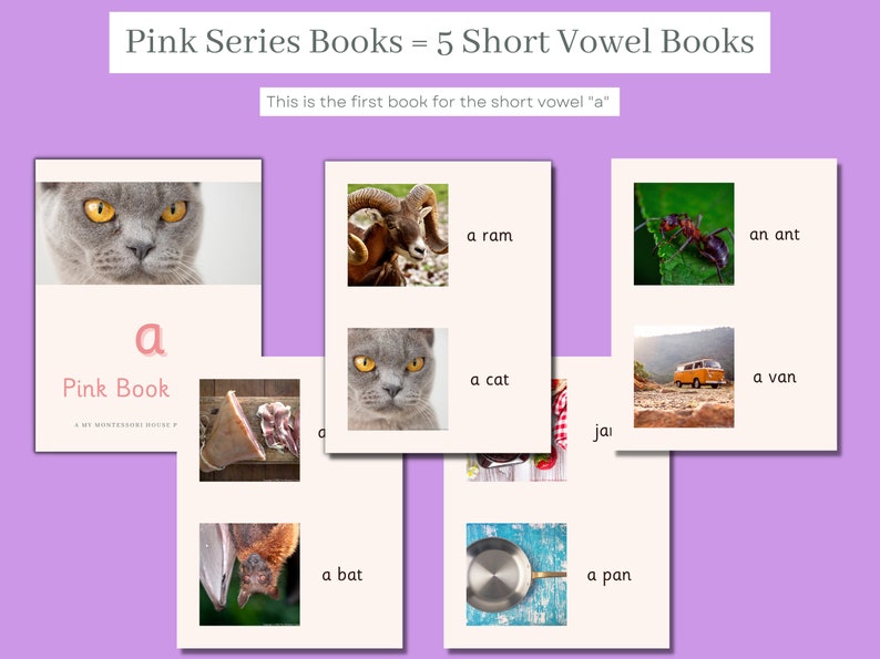 Montessori House: Pink Series Cards, Lists, Book Sets 1 & 2 in Print - Etsy