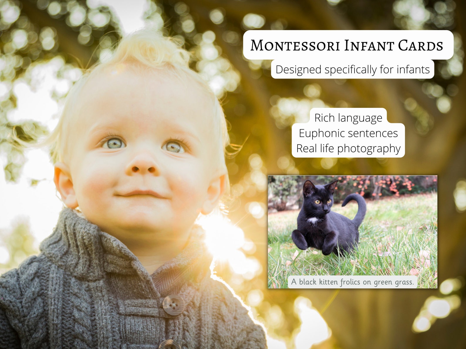 Montessori Infant Read-aloud Cards: Rich Language Euphonic - Etsy