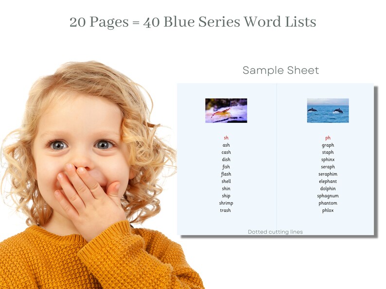 Montessori House: Blue Series Word Cards & Lists via Digital Download ...