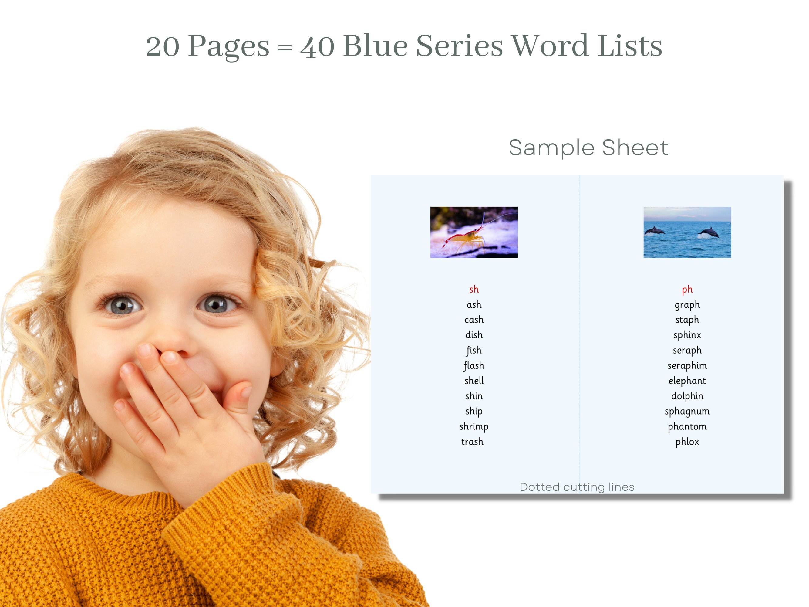 Digital Download by Montessori House: Blue Series Word Cards & - Etsy