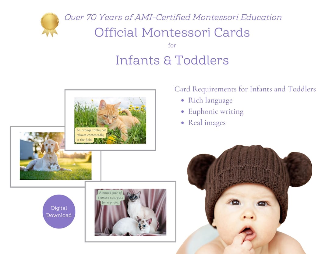 Montessori Infant and Toddler: Language Reading Aloud Cards SET 5 - Etsy