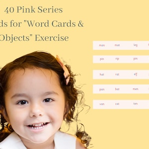 Montessori Beginning Pink Series: Three-part Picture and Word Cards ...
