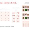 Montessori Pink Series Books Set 2: Phonetic Books for Beginning ...