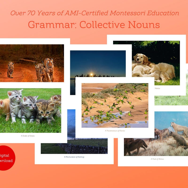 MontessoriHouse - Etsy