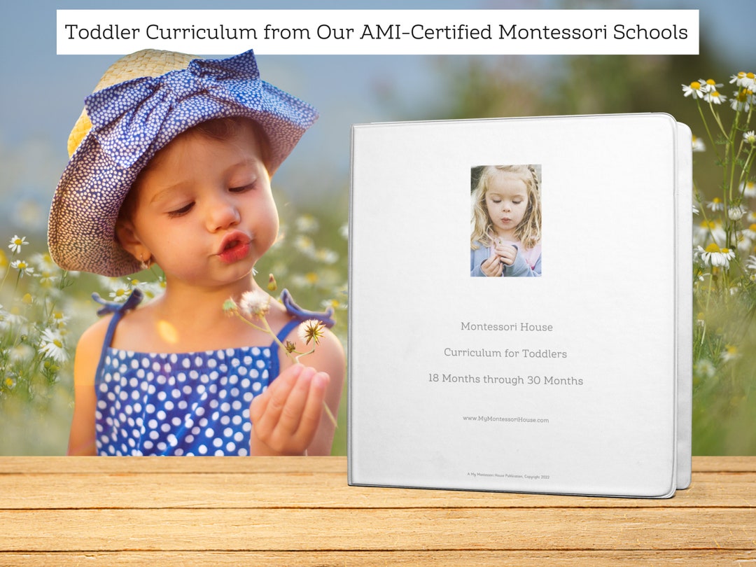 Authentic Ami-montessori Curriculum for Toddlers & Prek: Print Edition ...