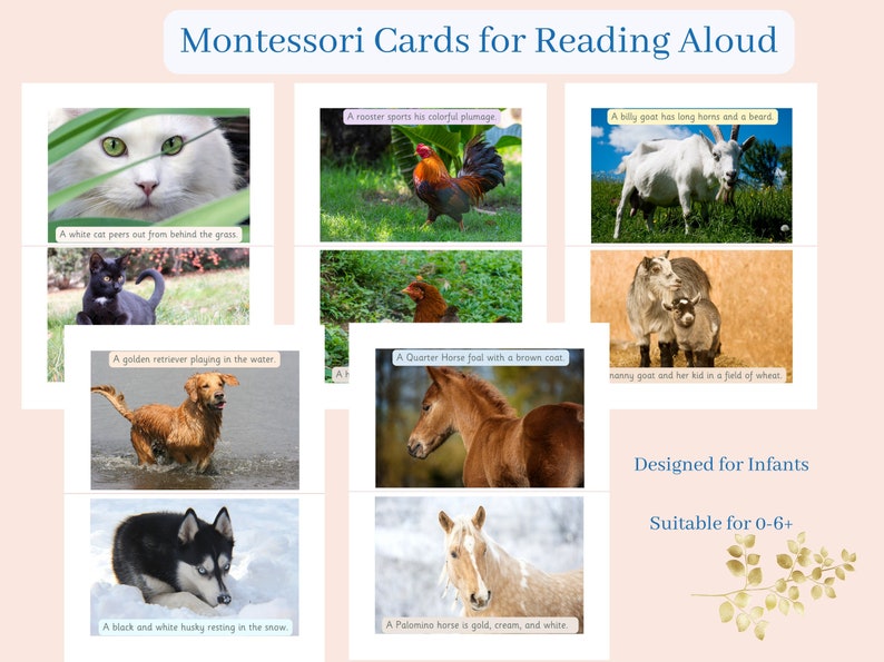 Montessori Infant Read-aloud Cards: Rich Language, Animal Photos SET 1 ...