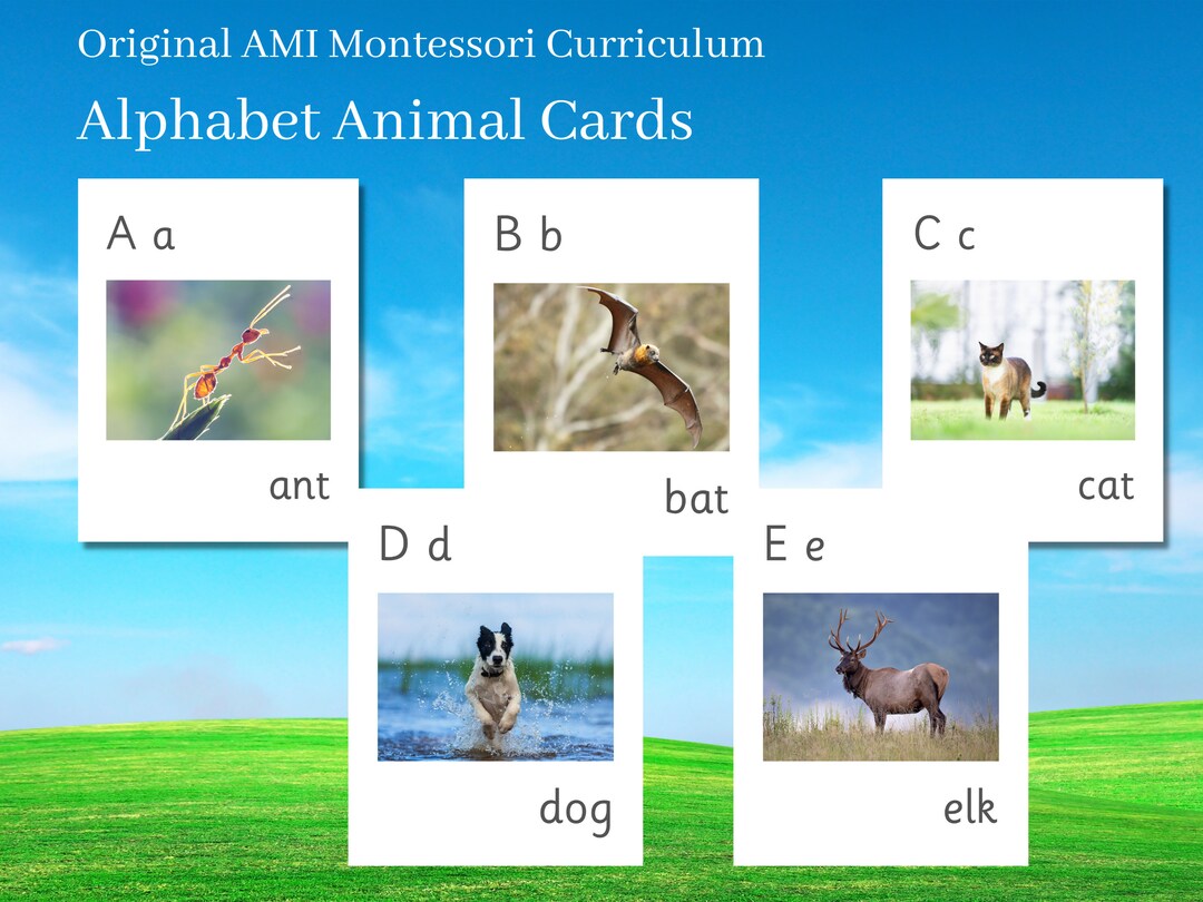 Montessori Phonics Reading: Animal Alphabet and Word Cards Digital ...