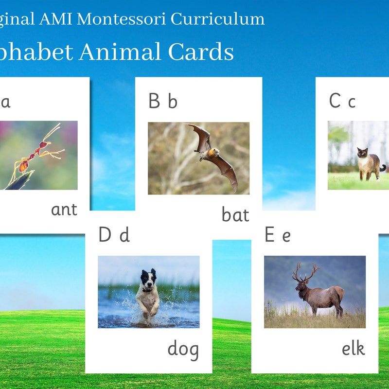 MontessoriHouse - Etsy