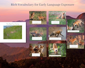 Montessori Curriculum for Prek to Intro Kindergarten primary - Etsy Canada