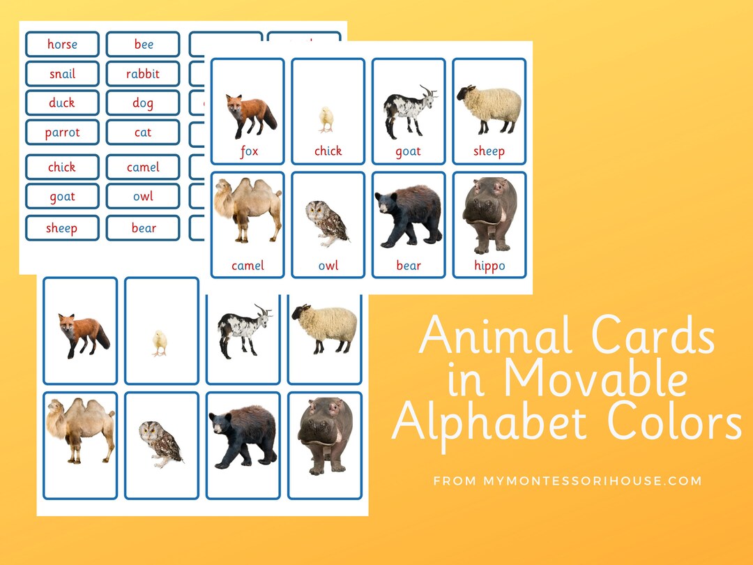 Animal Cards With Real Photos and Montessori Movable Alphabet Colors ...