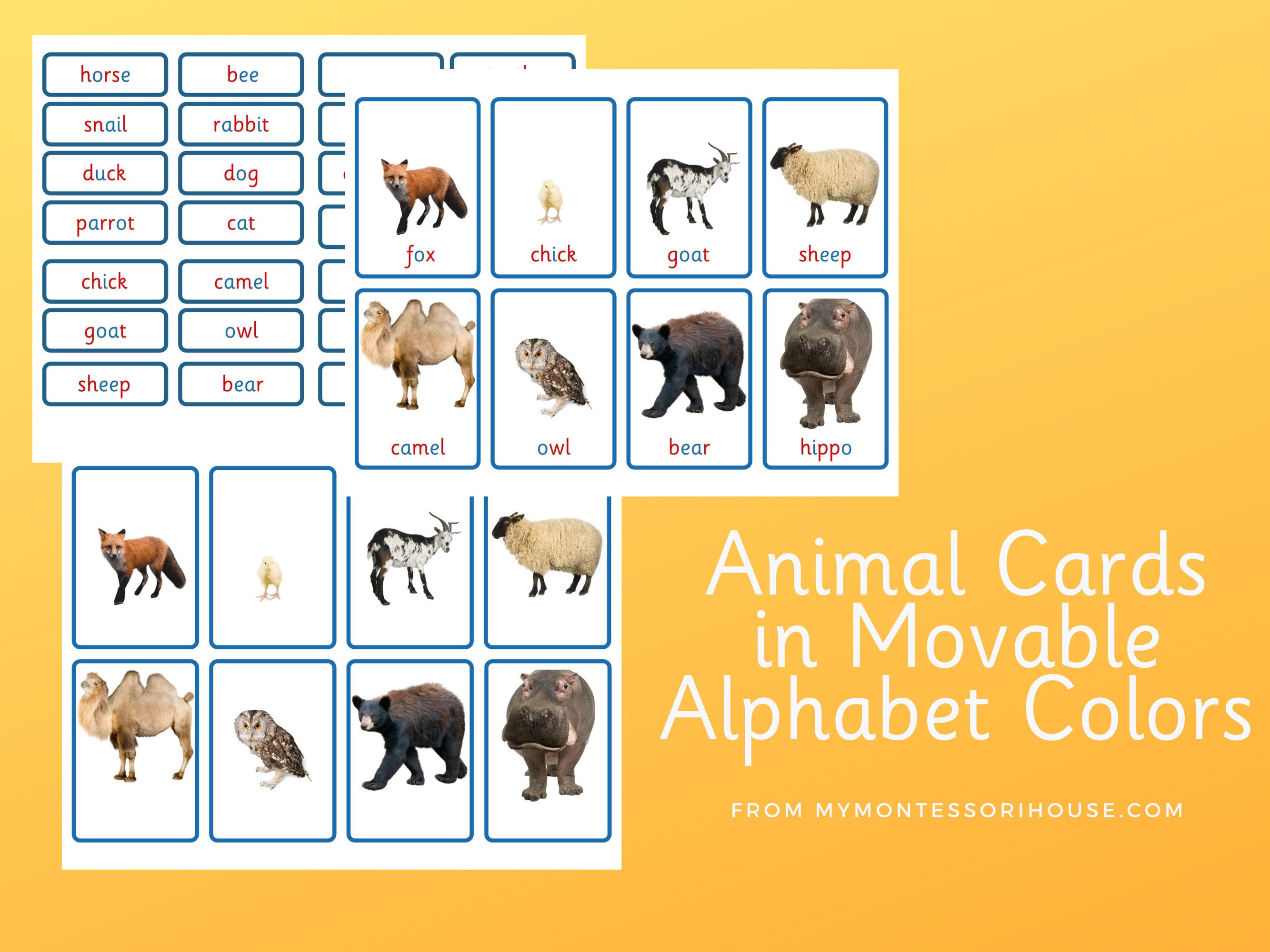 Animal Cards With Real Photos and Montessori Movable Alphabet | Etsy