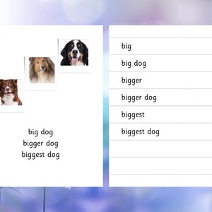 Montessori Reading Cards: Kindergarten to First Grade Sets 1 & 2 in ...