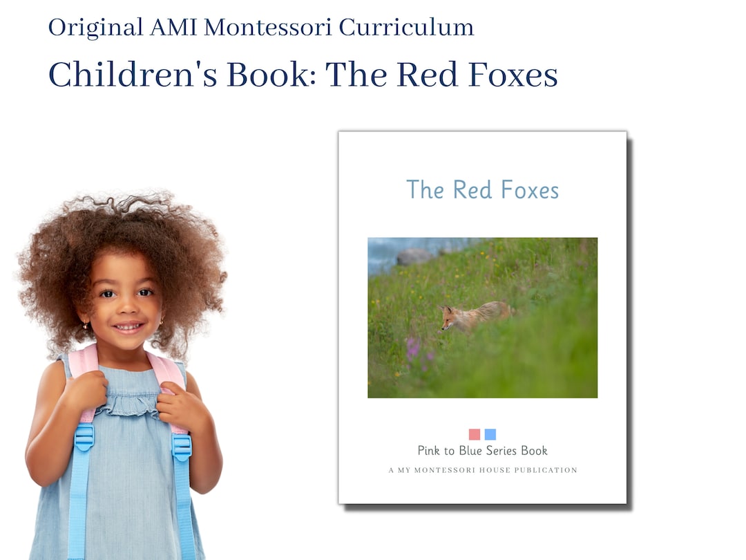 Beginning Phonics Story: the Fox Family for Children Learning to Read ...