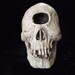 Cyclops Skull Statue Macabre Decoration Human Skull Oddity - Etsy