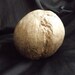 Human Half Skull Ancient Decrepit Bone Statue Decayed Rotted Prop ...