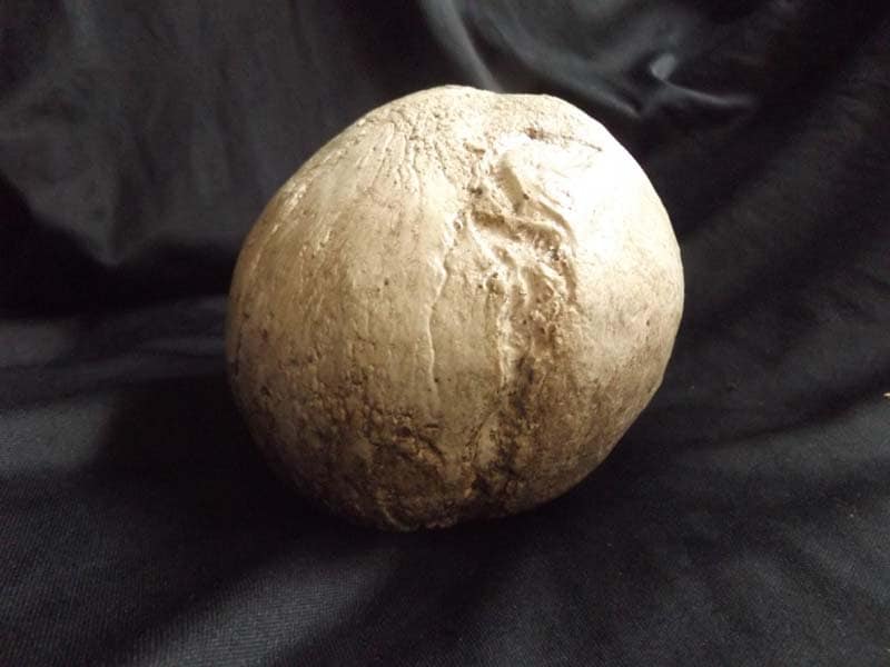 Human Half Skull Ancient Decrepit Bone Statue Decayed Rotted | Etsy