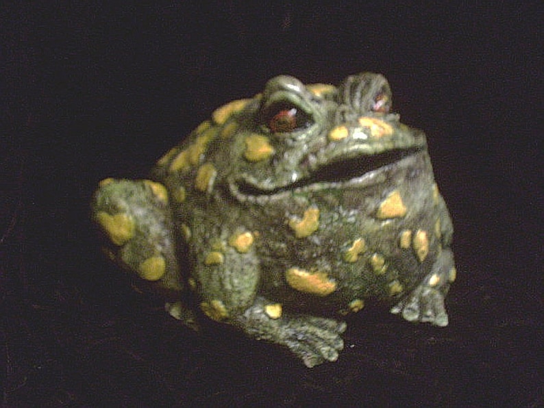 Toadzilla the Mutant Toxic Toad Garden Statue Large Fantasy - Etsy