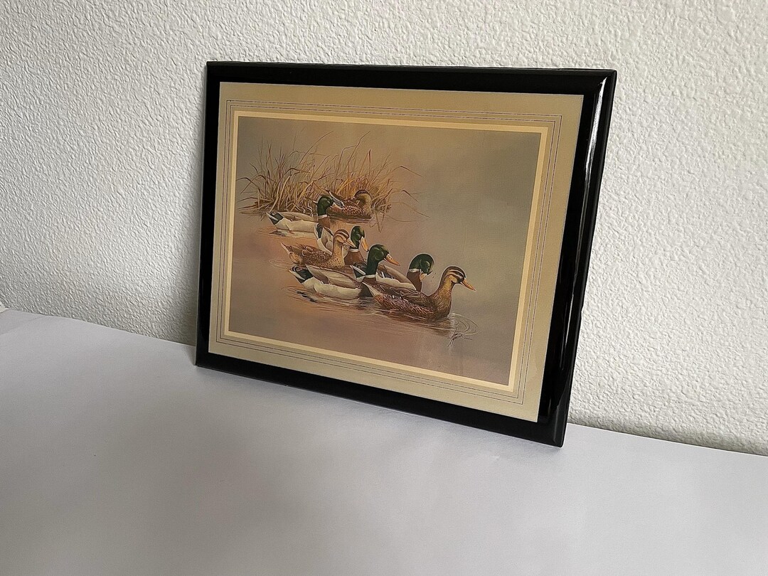 Lacquered Mallard Duck Print – Ann Moller 1989 Art, Vintage Wildlife ...
