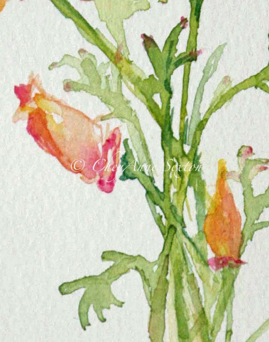 Poppy Art California Poppy Painting by Cheyanne Sexton - Etsy