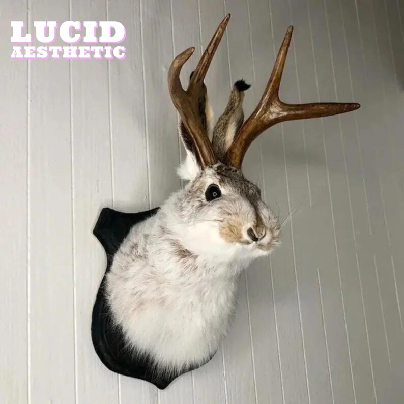 Antlers Rabbit Head Statue | Jackalope | Home Decoration | 3D Abstract ...
