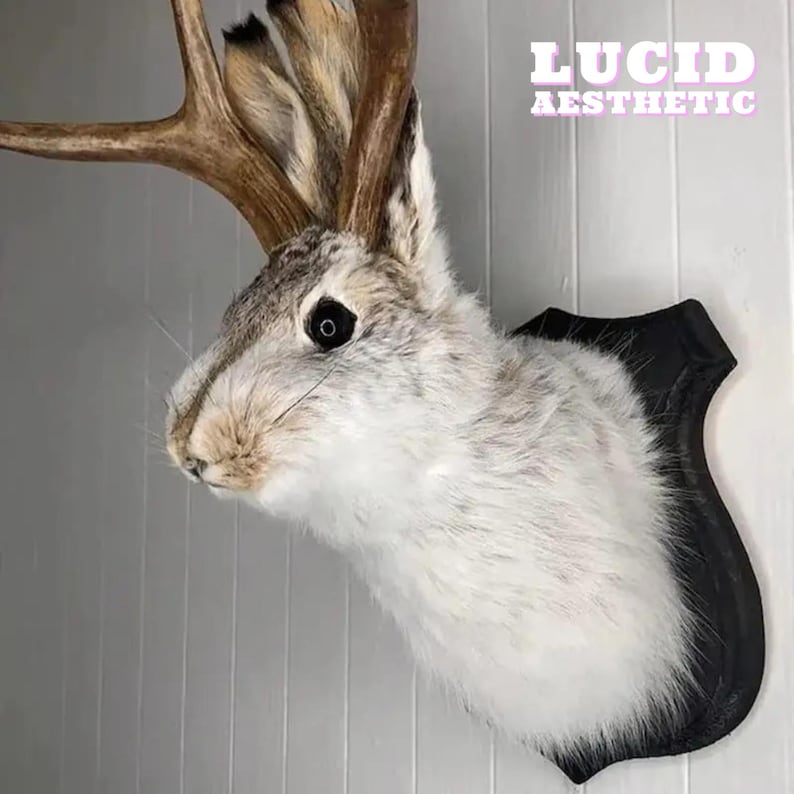 Antlers Rabbit Head Statue | Jackalope | Home Decoration | 3D Abstract ...
