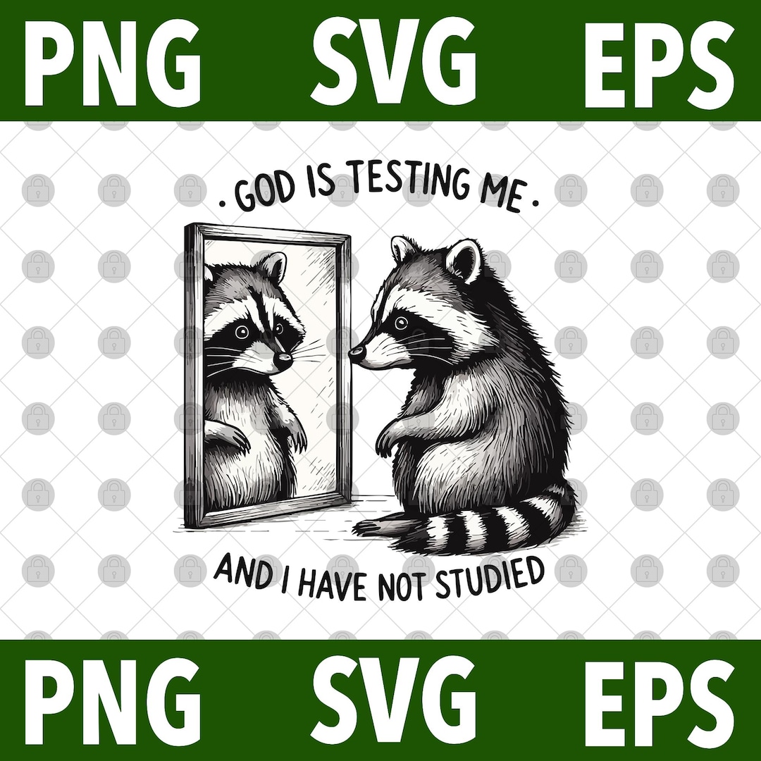 God is Testing Me PNG SVG | Funny Possum & Raccoon Meme Graphic ...