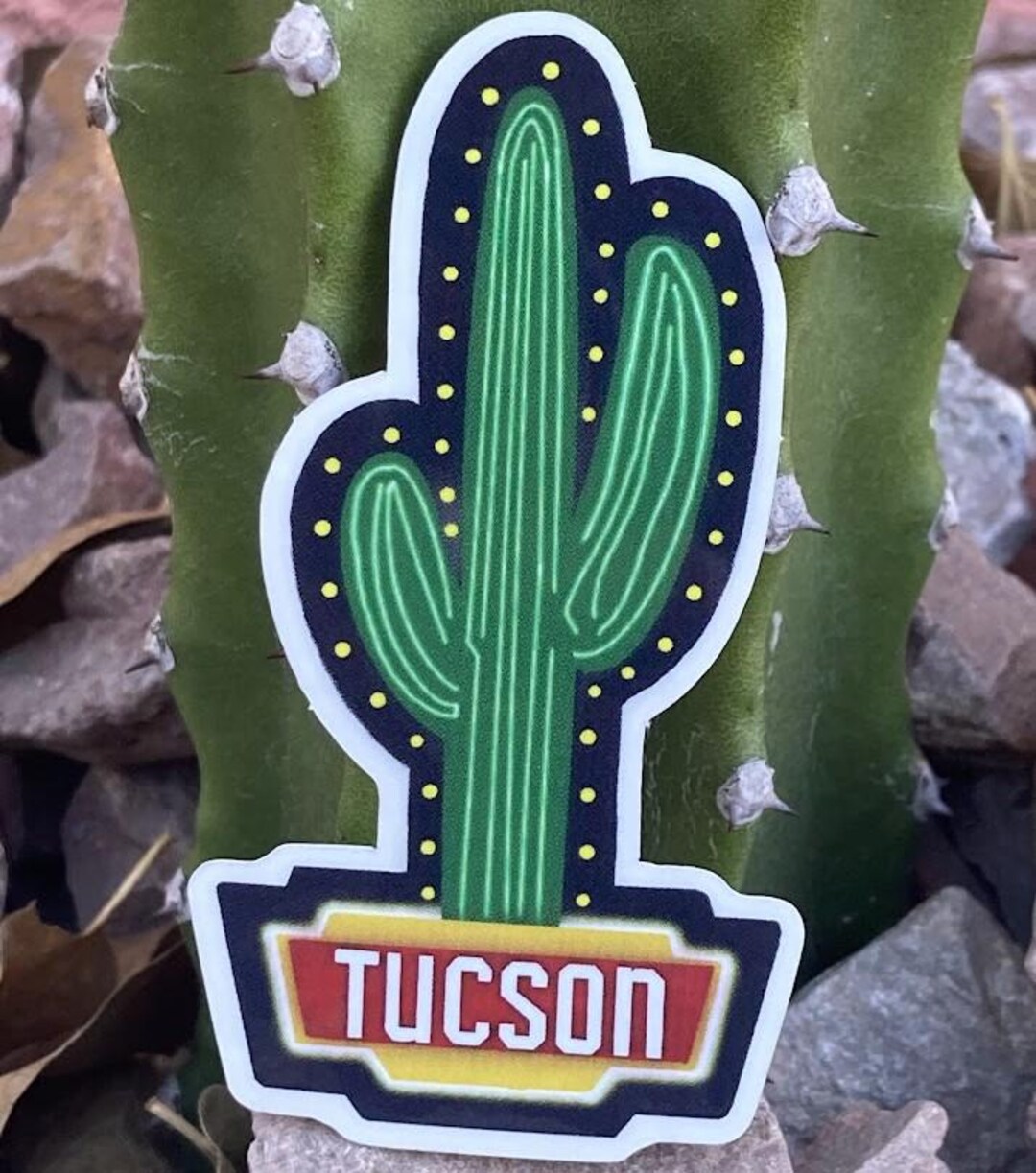 Tucson Cactus Sticker - Etsy