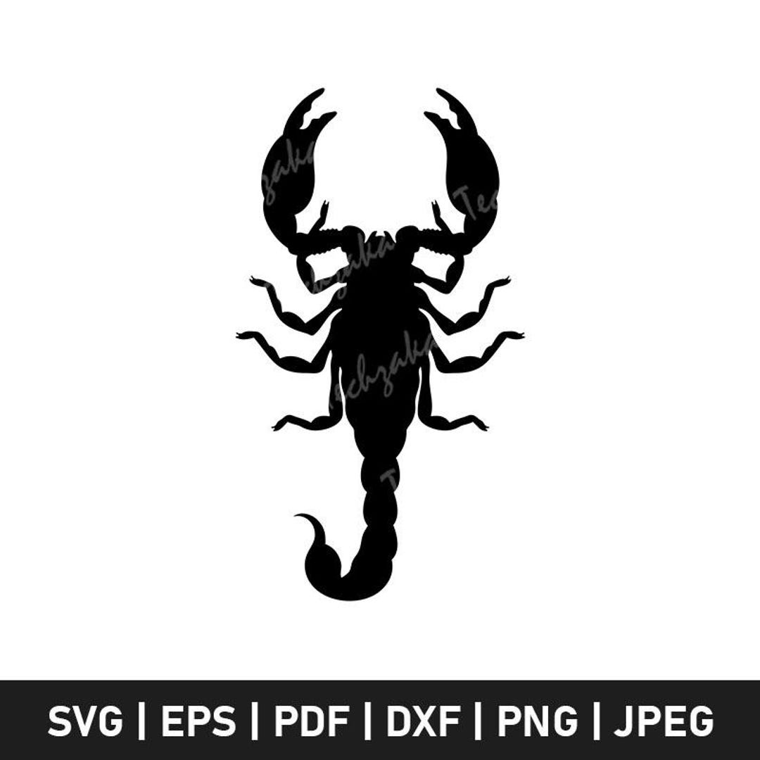 Scorpion SVG File, Scorpion Silhouette, Insect Clipart, Zodiac Scorpio ...