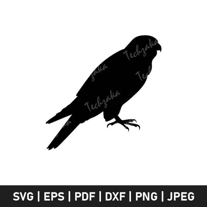 Peregrine Falcon Svg, Falcon Silhouette Cut File, Peregrine Falcon Png ...