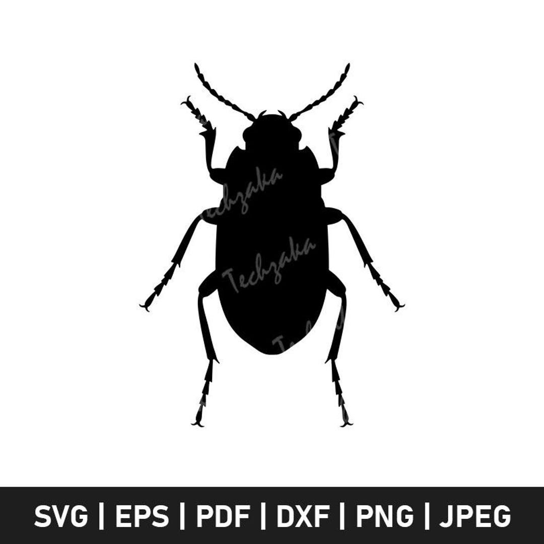 Bombardier Beetle SVG | Insect Silhouette Clipart | Beetle PNG for ...