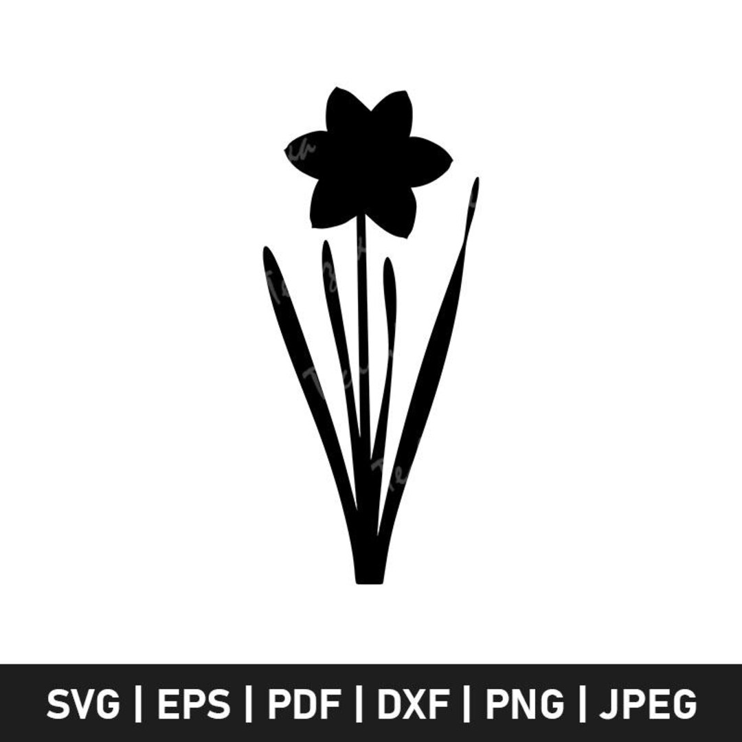 Daffodil Flower SVG, Spring Floral Silhouette, Narcissus SVG PNG ...