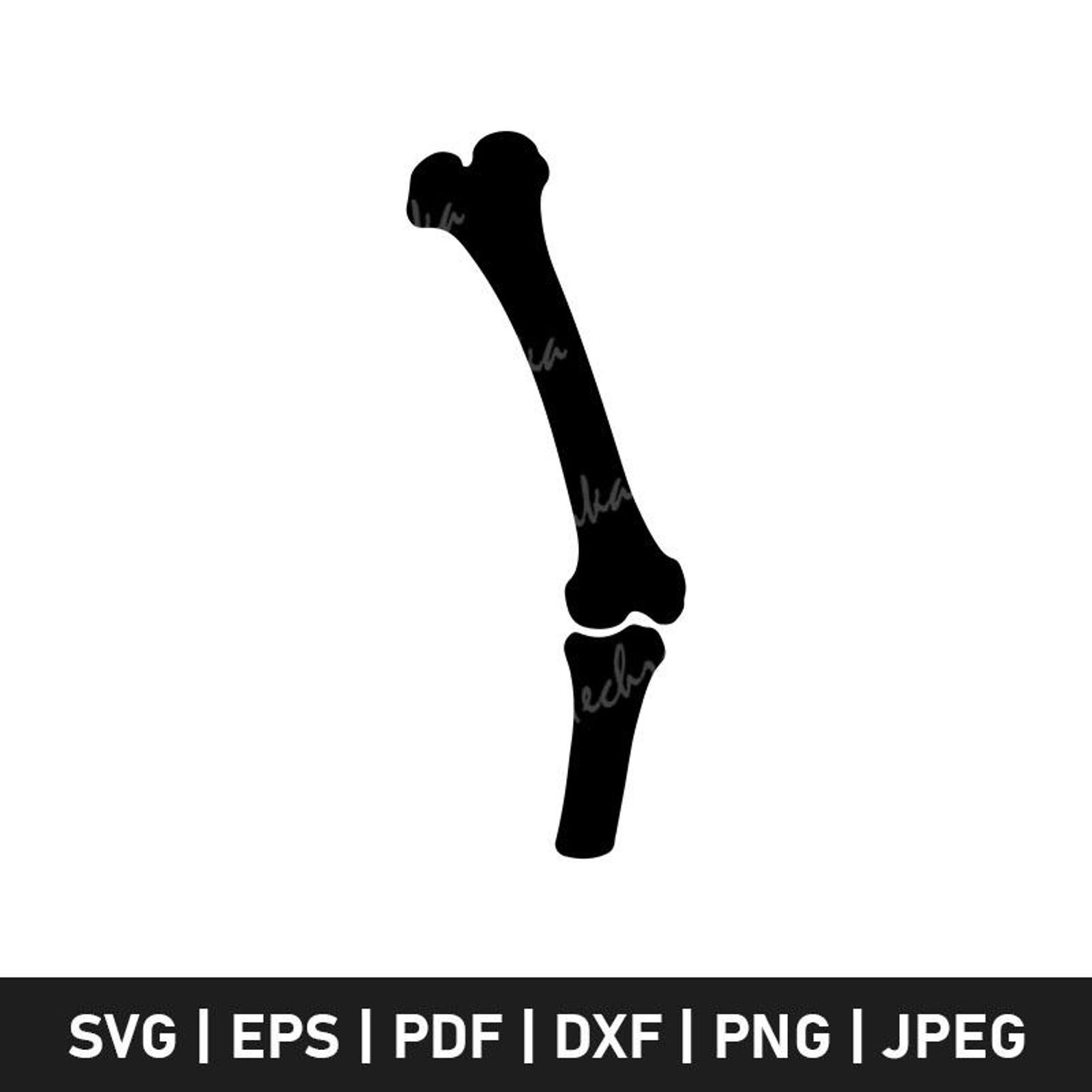 Femur Svg File, Thigh Bone Svg, Human Bone Clipart, Anatomy Svg Cut ...