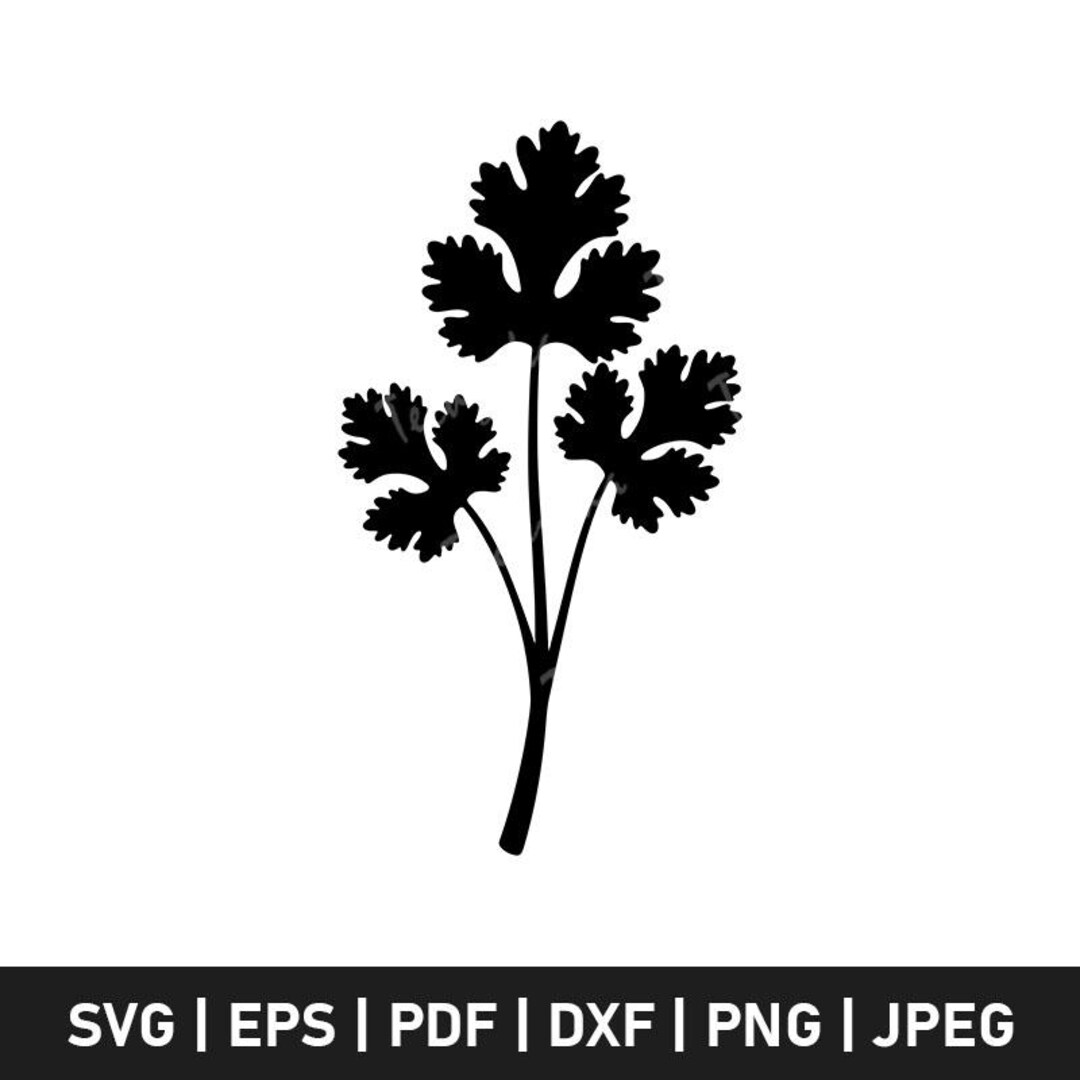 Cilantro SVG File, Herb Leaf Silhouette, Coriander Clipart, Cilantro ...