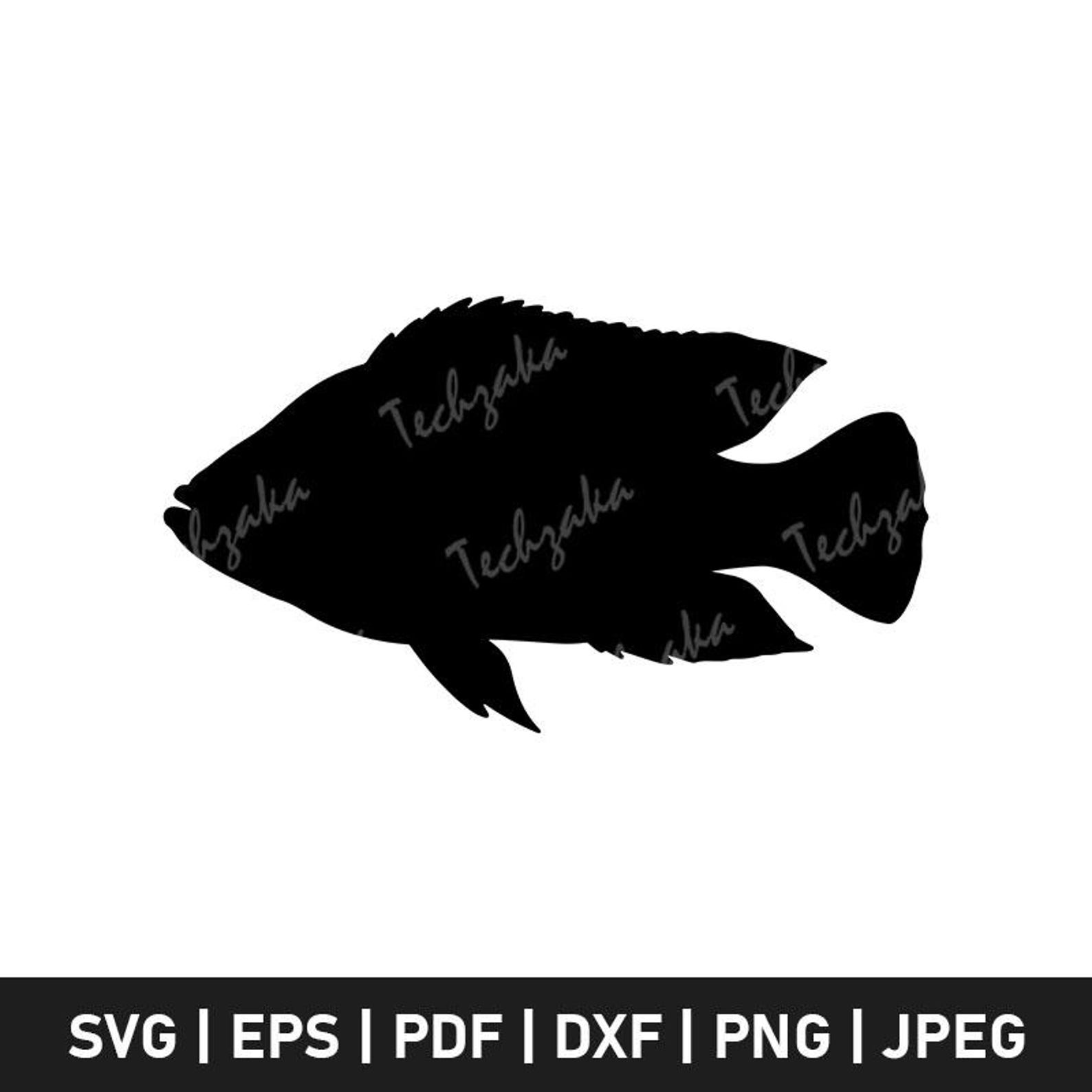 Tilapia Fish SVG | Freshwater Fish Silhouette | Tilapia Clipart PNG ...