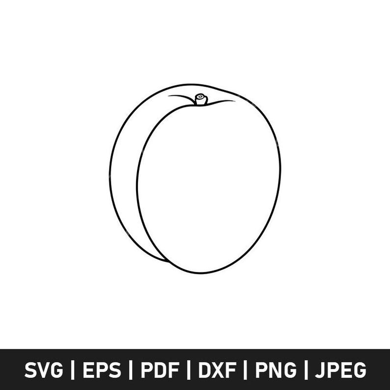 Apricot Outline SVG, Minimal Apricot Fruit Clipart, Apricot Line Art ...