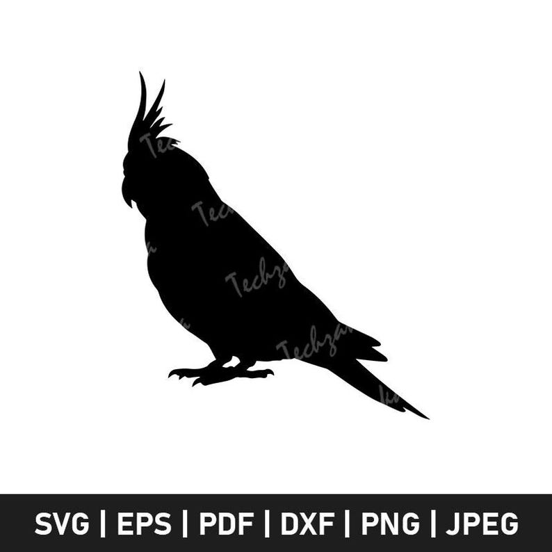 Cockatiel Svg File, Cockatiel Silhouette Svg, Bird Clipart, Parrot Png ...