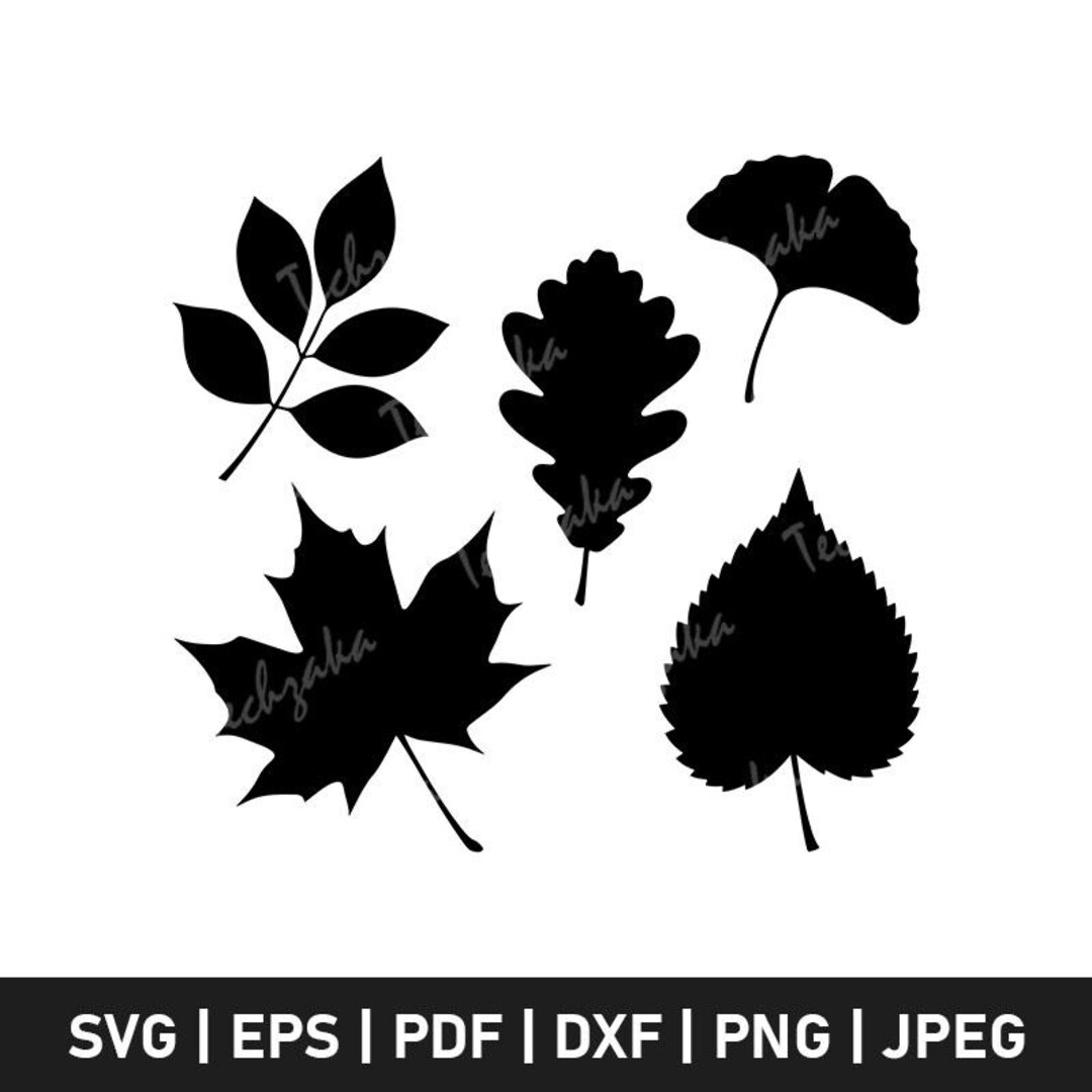 Fall Autumn Leaves SVG, Leaf Silhouette Clipart, Maple Leaf PNG, Fall ...