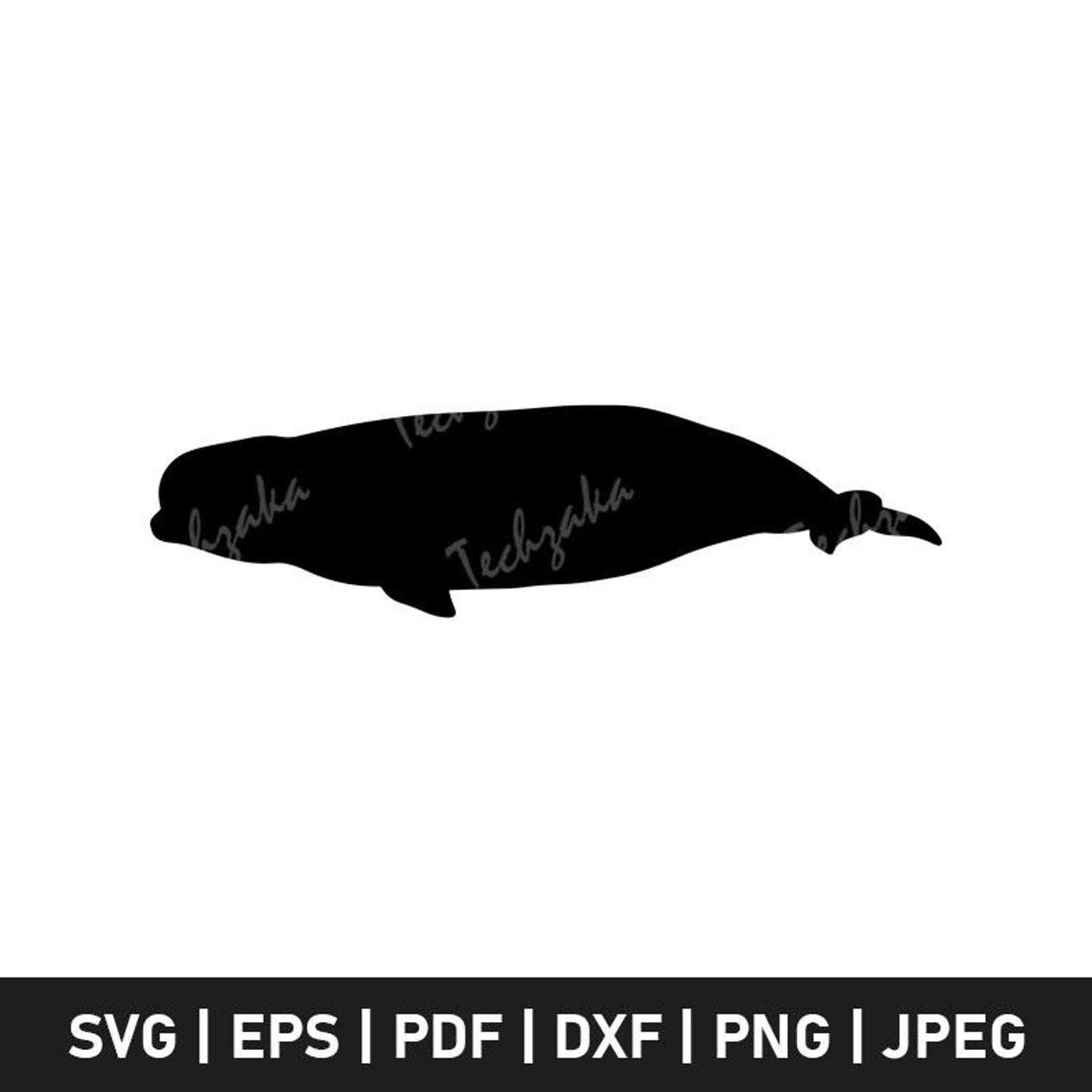 Beluga Whale Svg, Beluga Silhouette Svg, Ocean Animal Clipart, Beluga ...