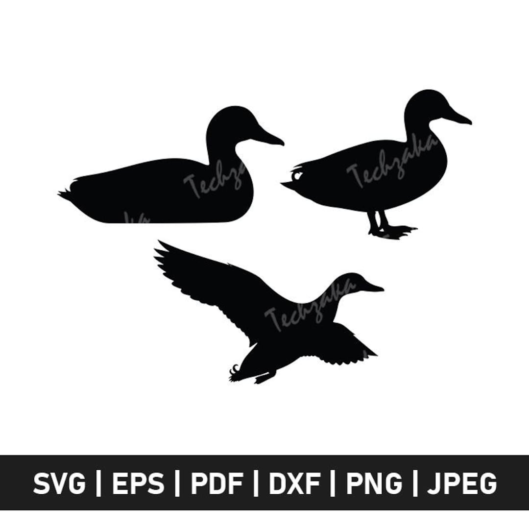 Mallard Duck Svg, Flying Mallard Duck Silhouette, Mallard Duck Png ...