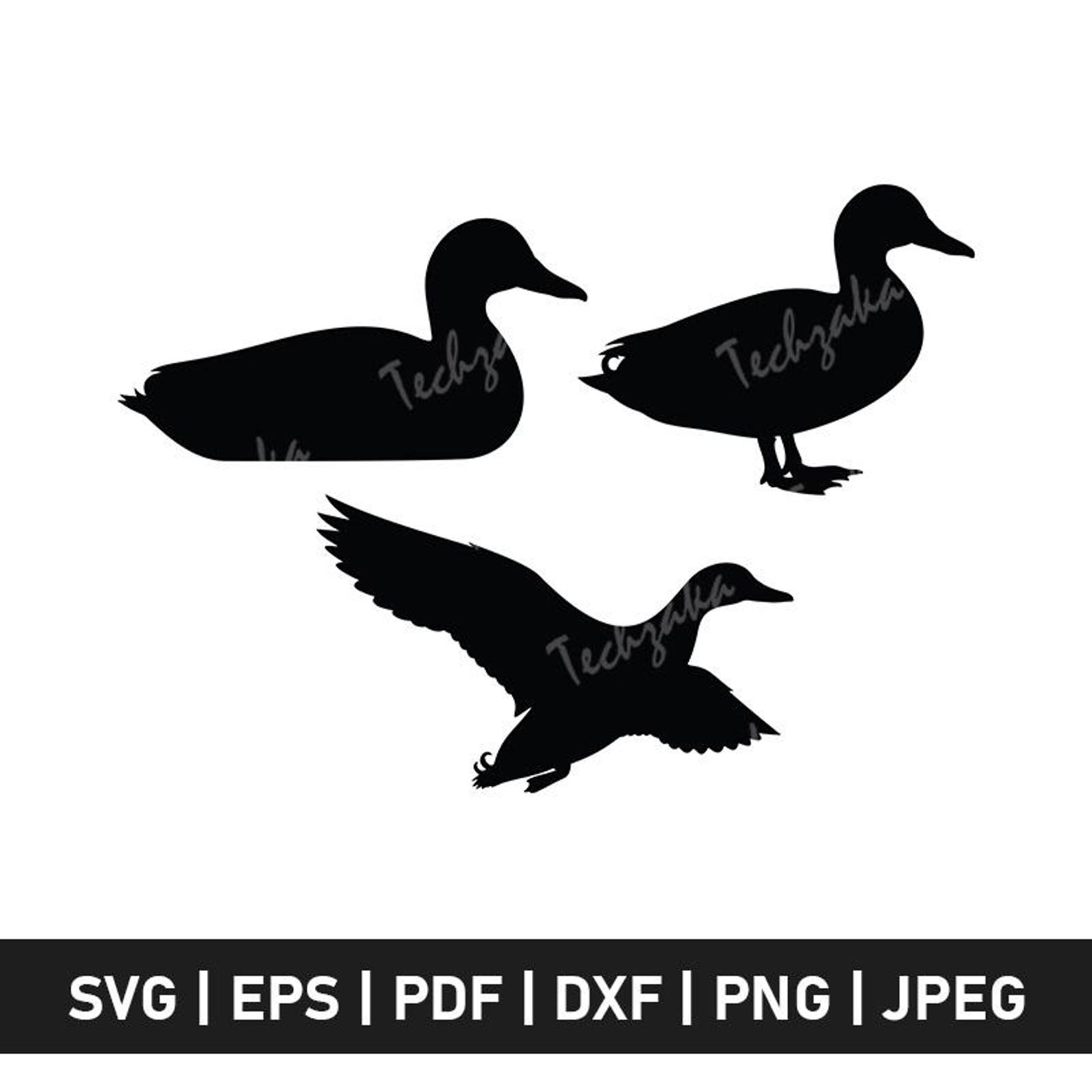 Mallard Duck Svg, Flying Mallard Duck Silhouette, Mallard Duck Png ...