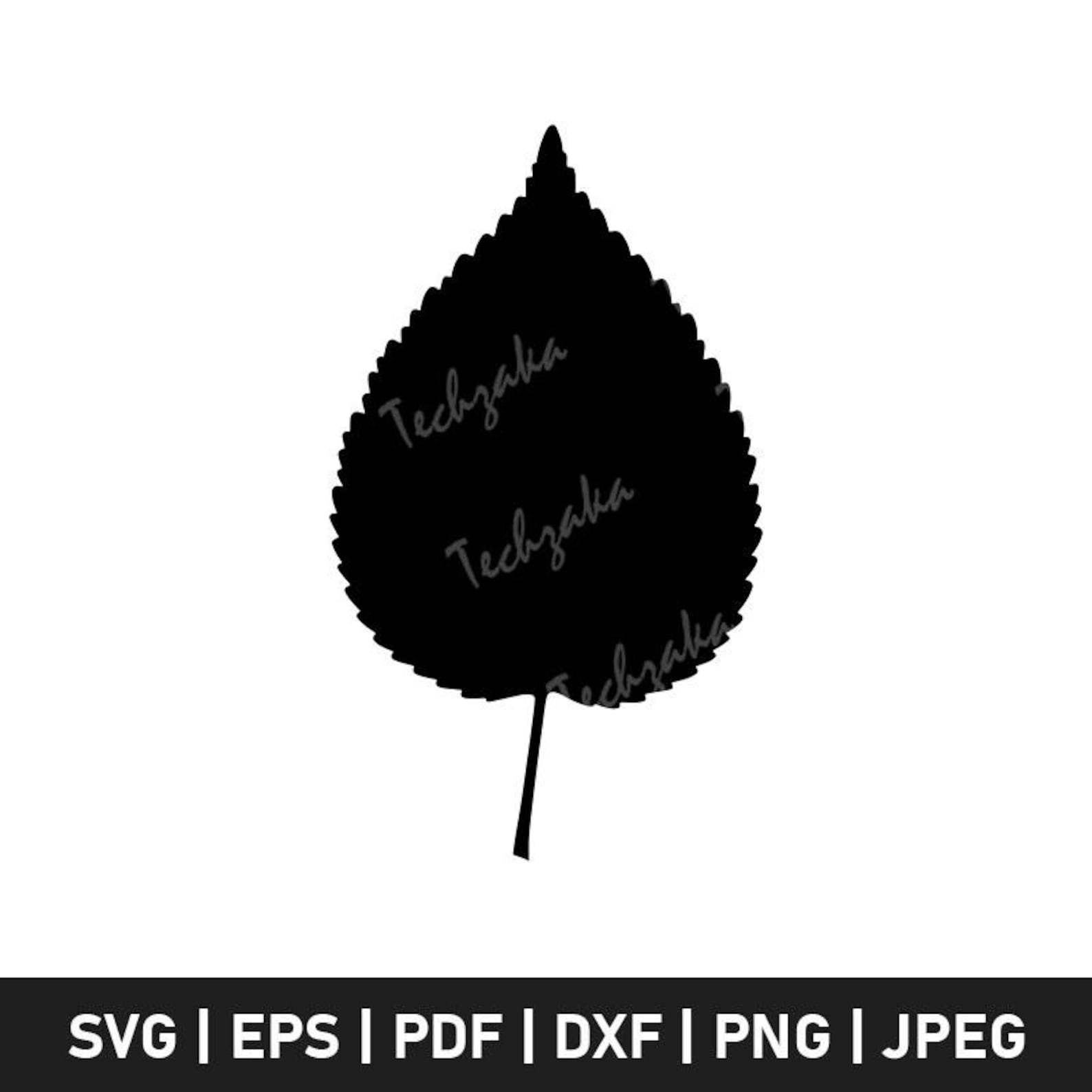 Elm Leaf SVG, Elm Leaf Silhouette, Elm Tree PNG, Botanical Clipart ...