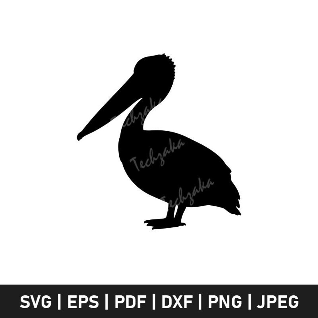 Pelican SVG File, Pelican Silhouette, Pelican PNG, Bird Clipart ...
