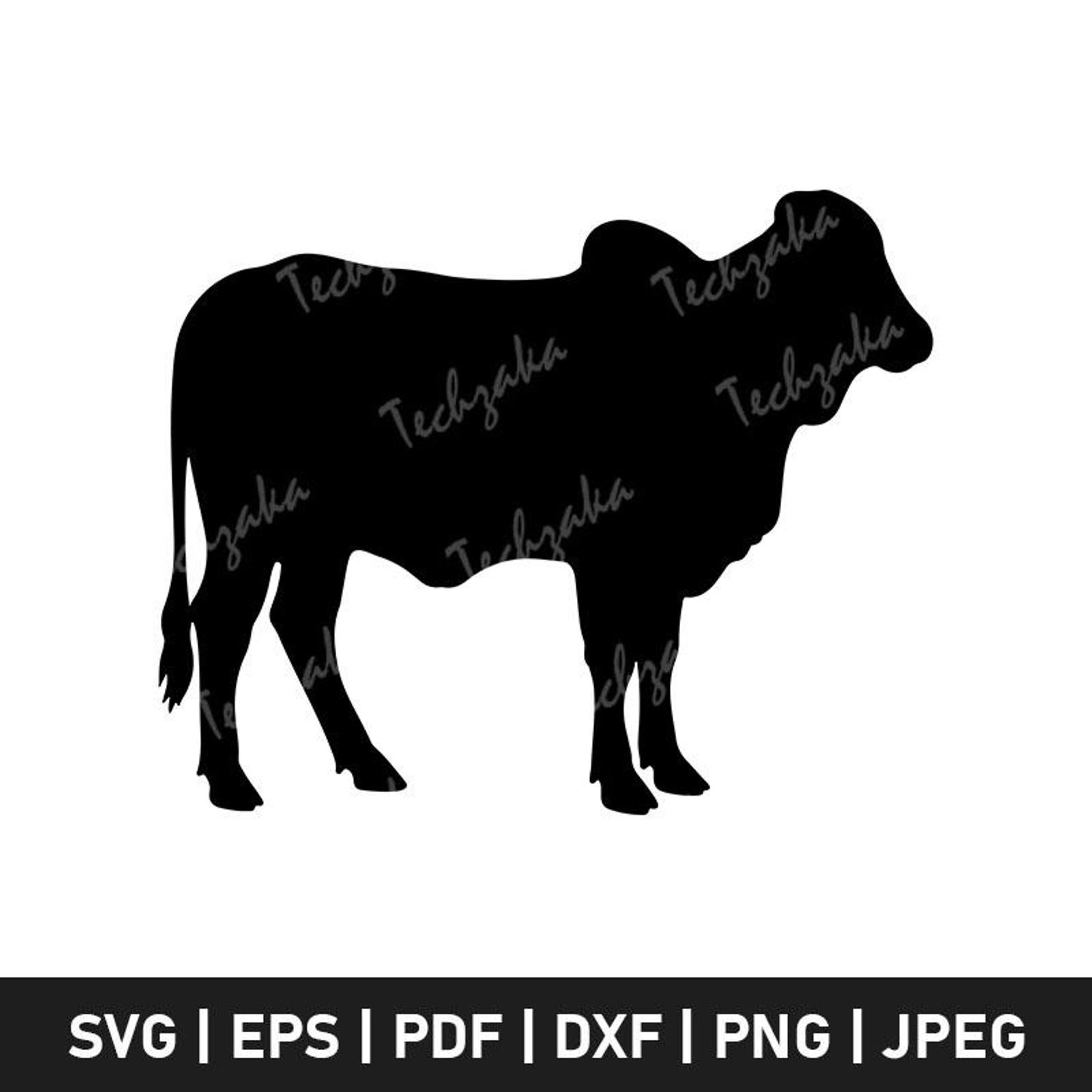 Brahman Cow SVG File | Brahman Cow Silhouette | Farm Animal Bull Vector ...