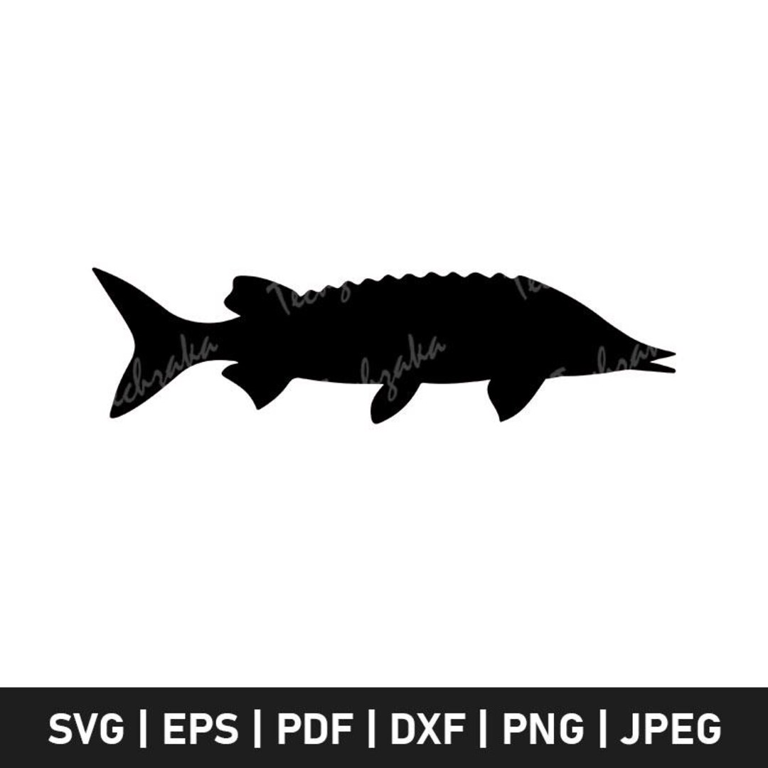 Sturgeon Svg File, Sturgeon Silhouette, Sturgeon Dxf, Sturgeon Png ...