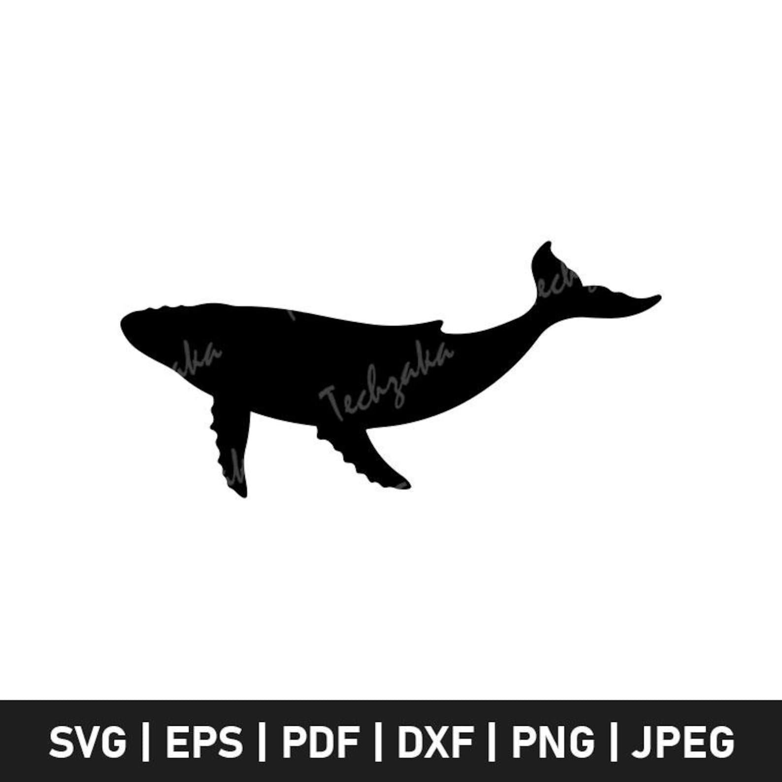 Humpback Whale Svg, Humpback Whale Silhouette, Ocean Animal Cut File ...