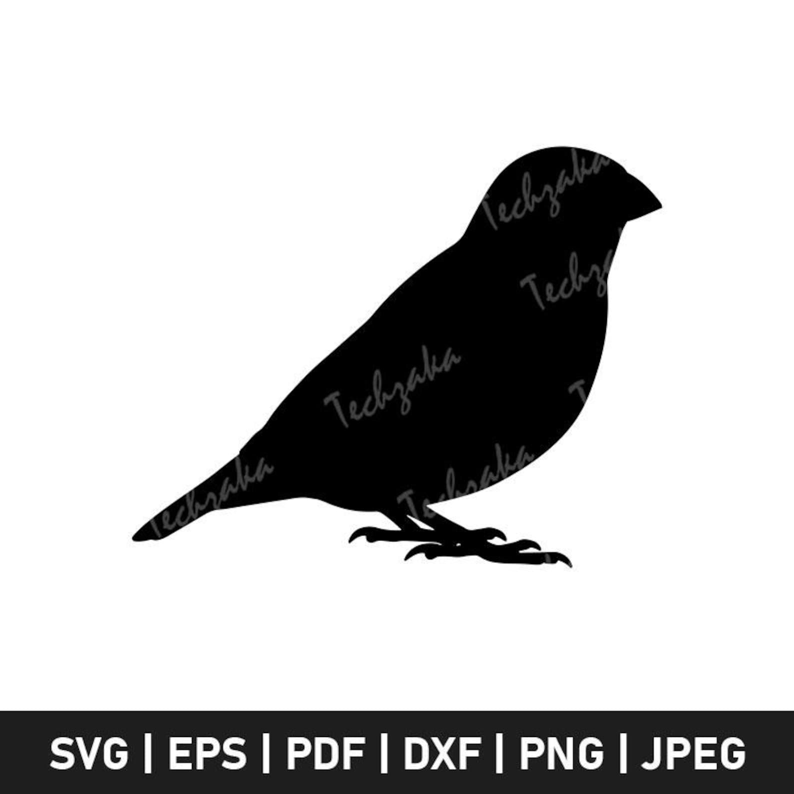 Zebra Finch SVG Clipart | Finch Silhouette Vector | Digital Download ...
