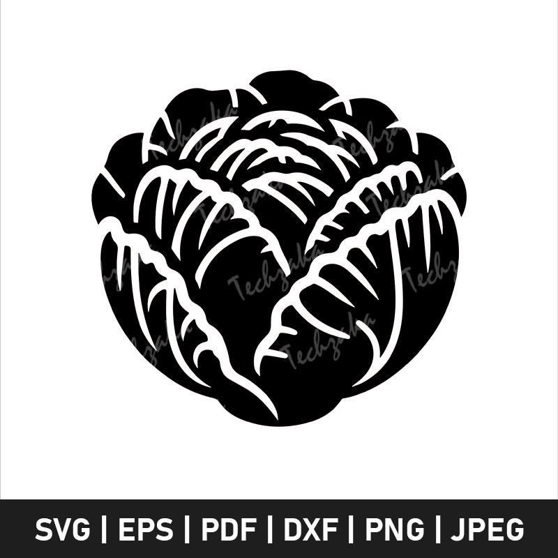 Cabbage SVG | Cabbage Silhouette | Vegetable SVG | Cabbage Clipart ...